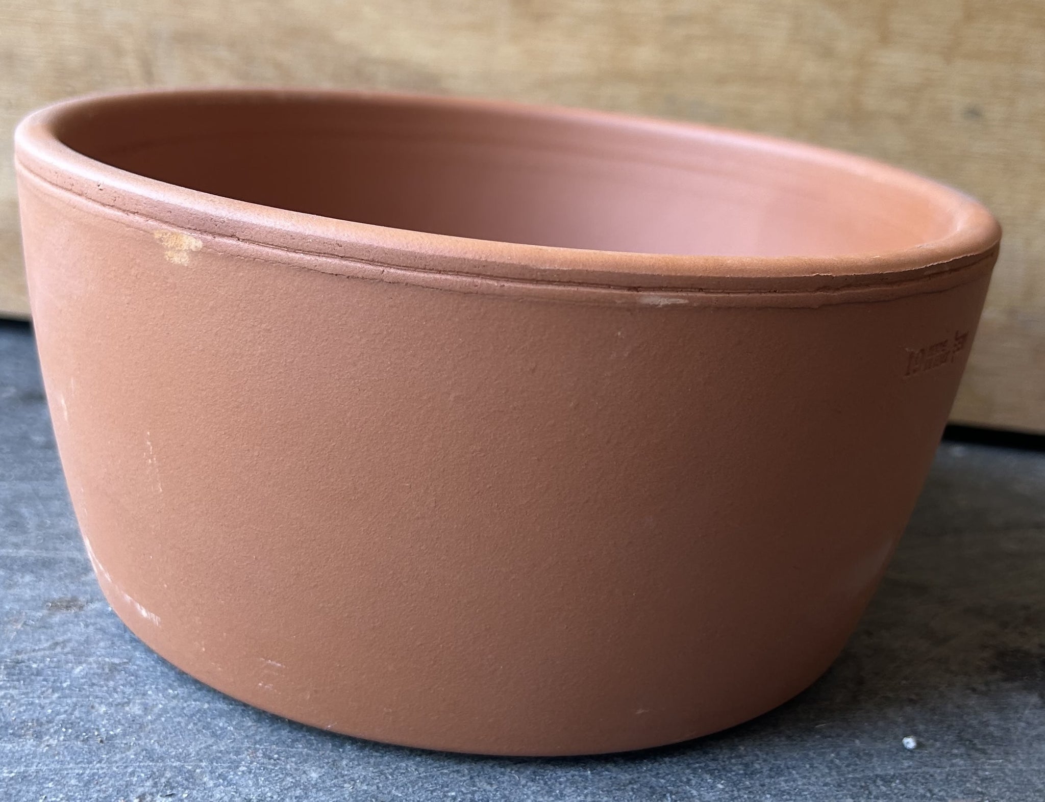 Cactus Bowl – Plant Material