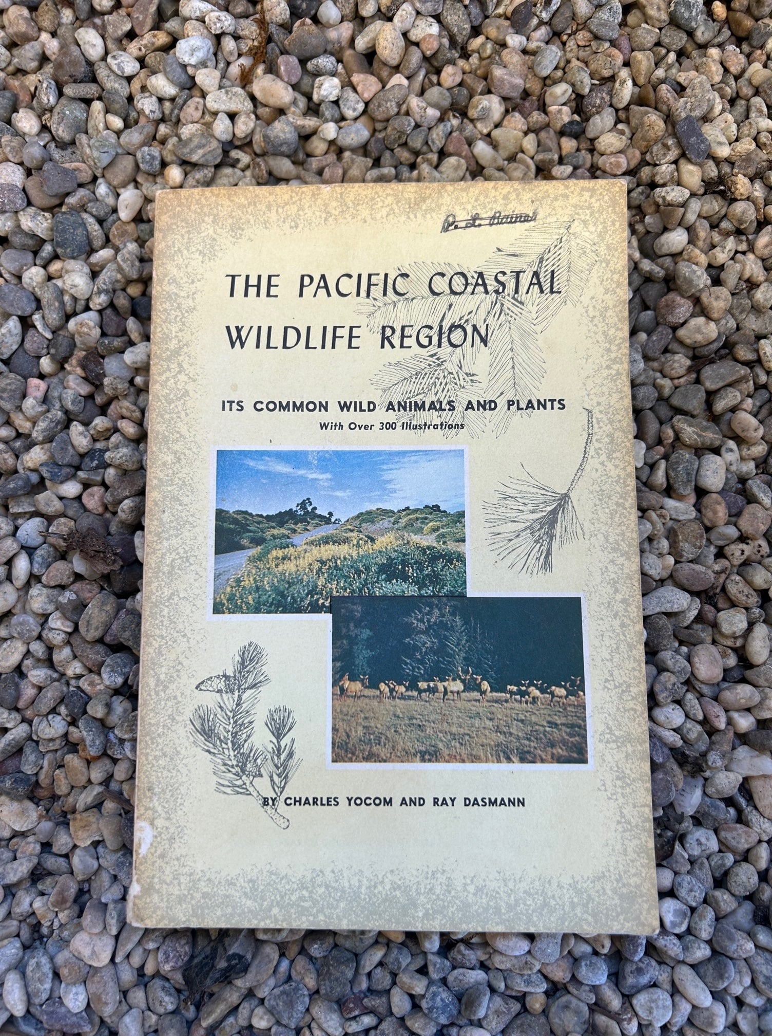 Pacific Coastal Wildlife Region – Plant Material