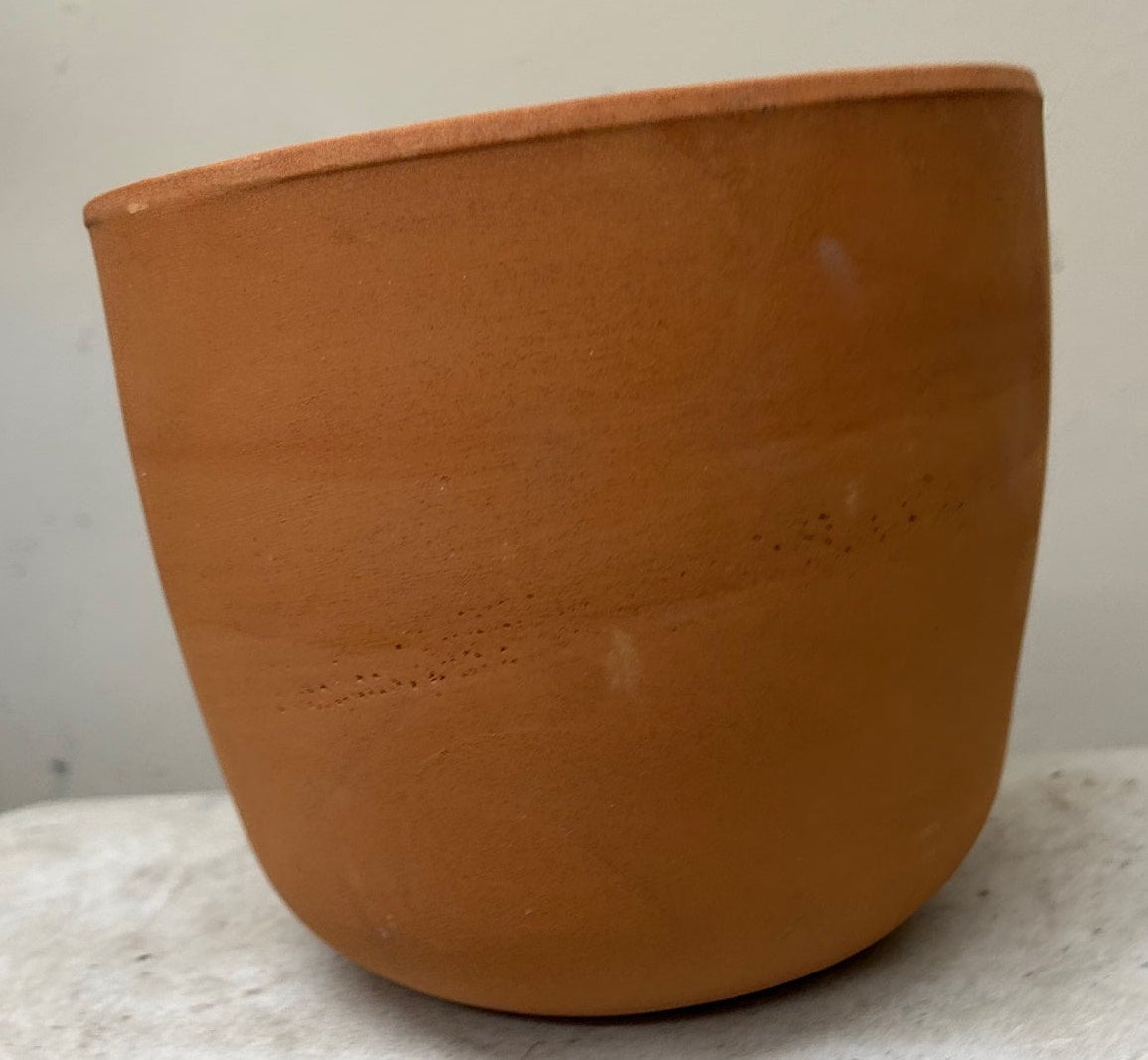 Egg Indoor/Outdoor Planters – Plant Material