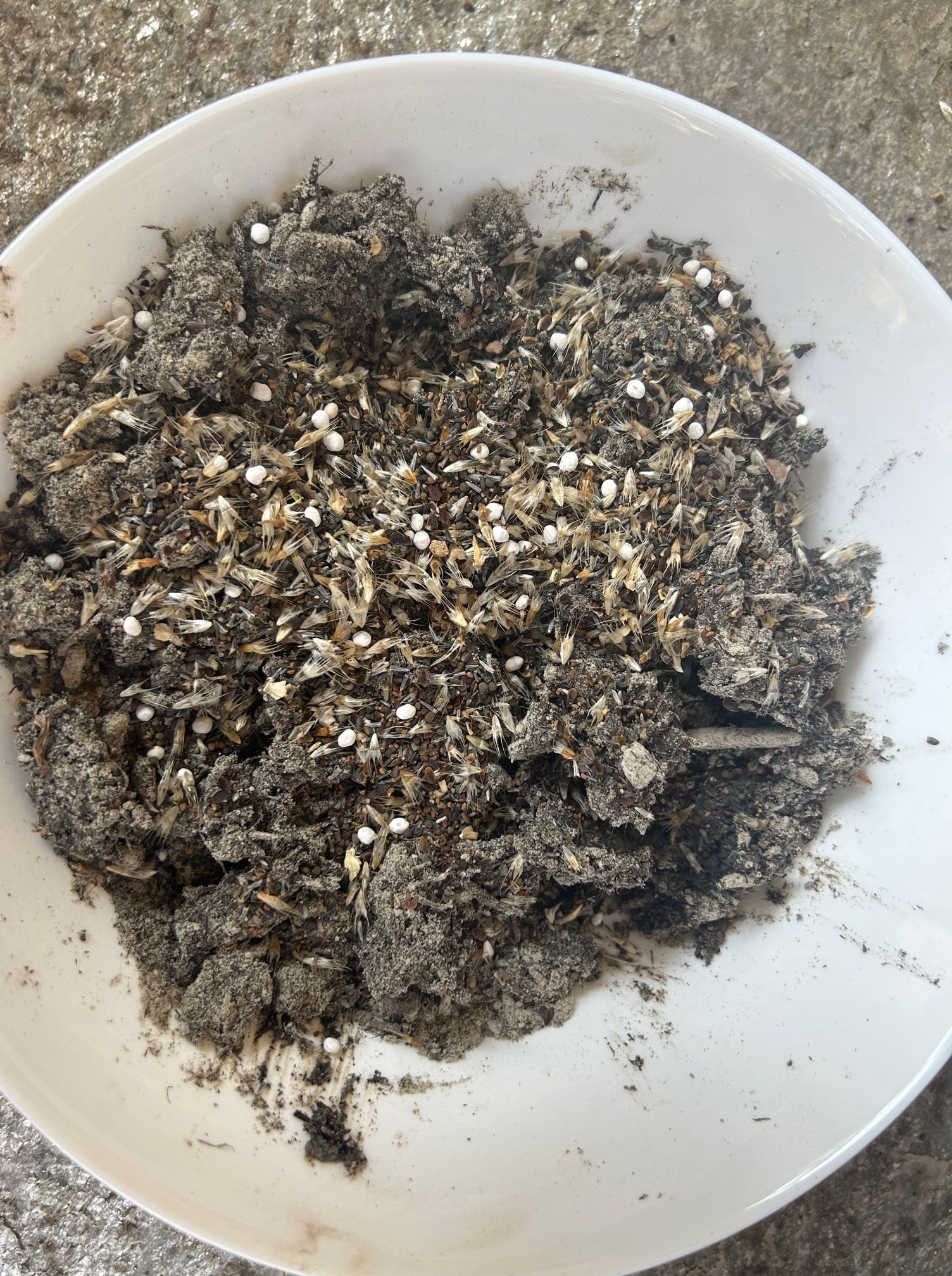 California Native Wildflower Pollinator Seed Bomb Kit – Plant Material