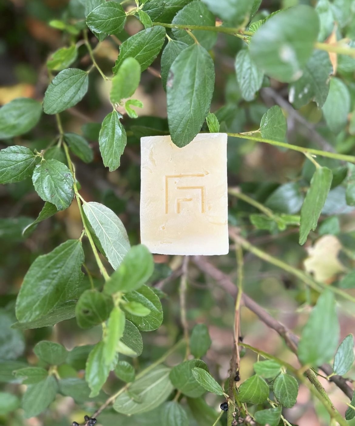 Life Research Lab Soap. – Plant Material