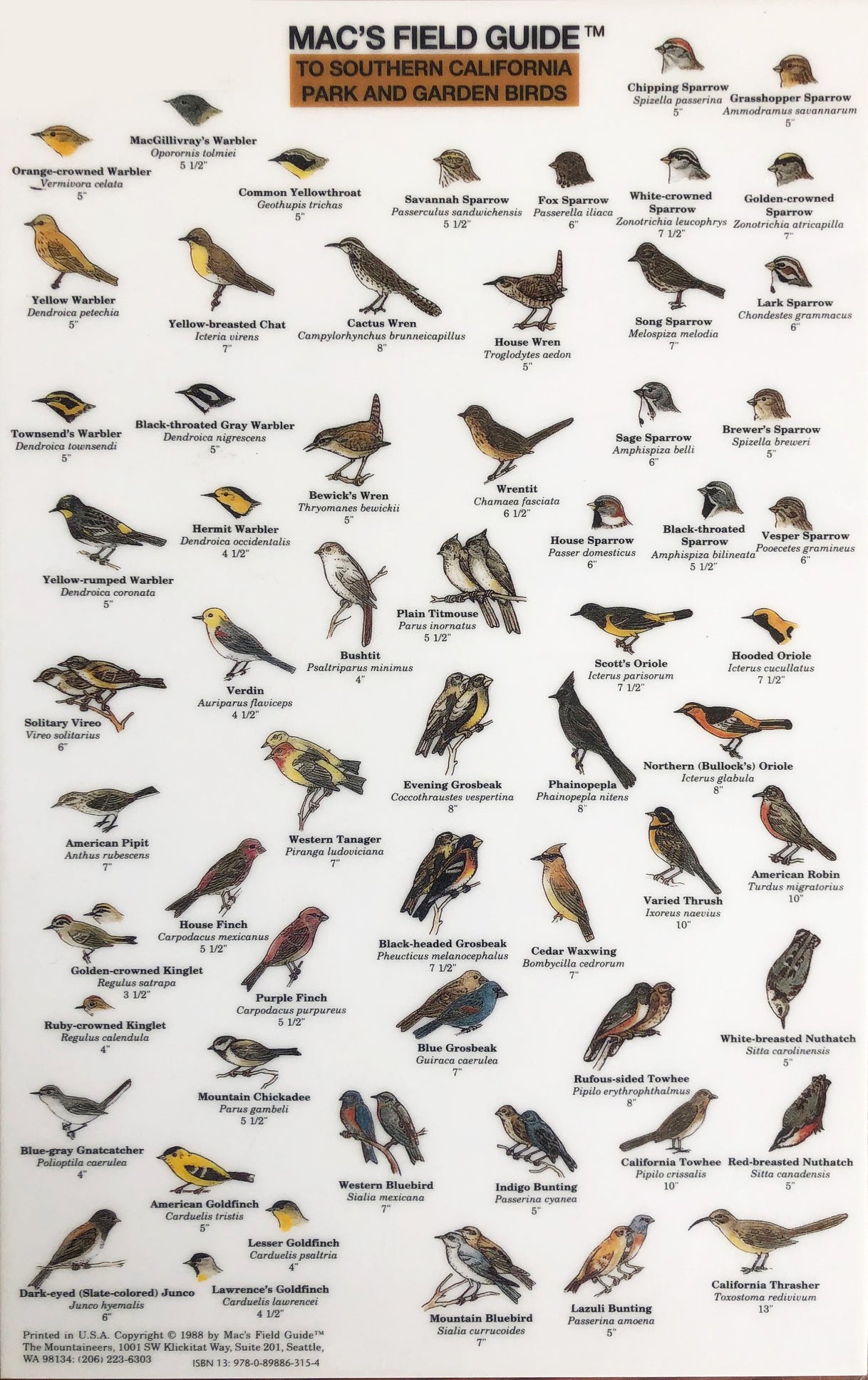 Mac's Field Guide – Plant Material