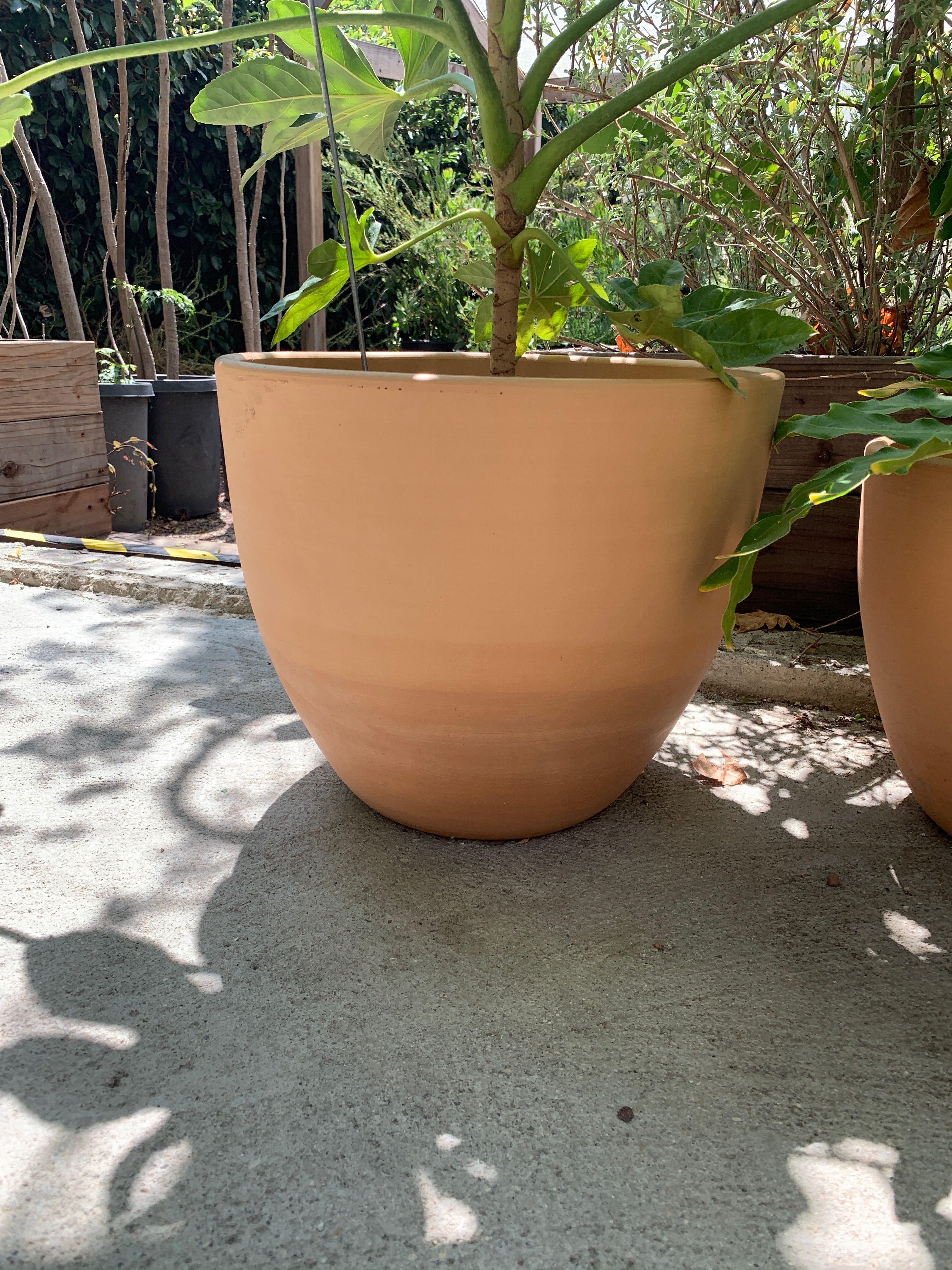 15" Smooth Liberty Bell Pot – Plant Material