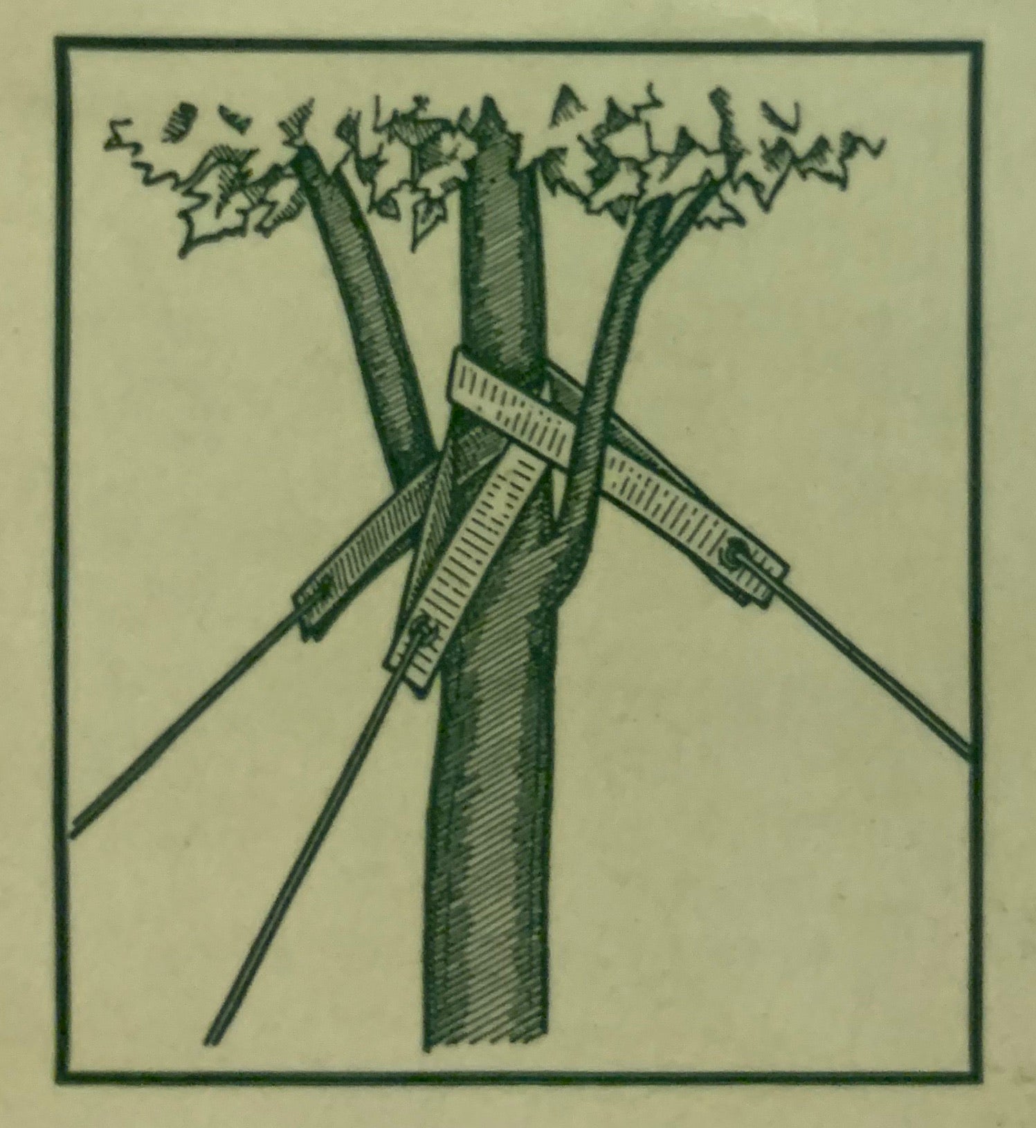 12” tree strap – Plant Material